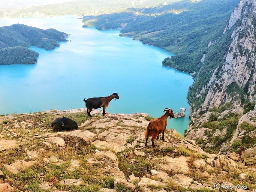 Hiking day tour of Bovilla Lake & Gamti Mountain from Tirana | GetYourGuide