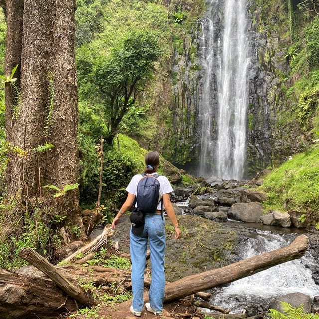 Materuni waterfall | GetYourGuide