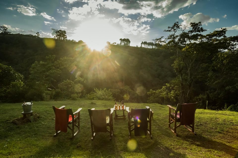 Arusha: Meru Forest Reserve waterfall hiking and camping | GetYourGuide