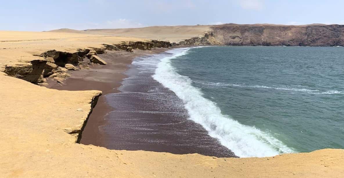 Paracas: privétour door het nationale reservaat van Paracas | GetYourGuide