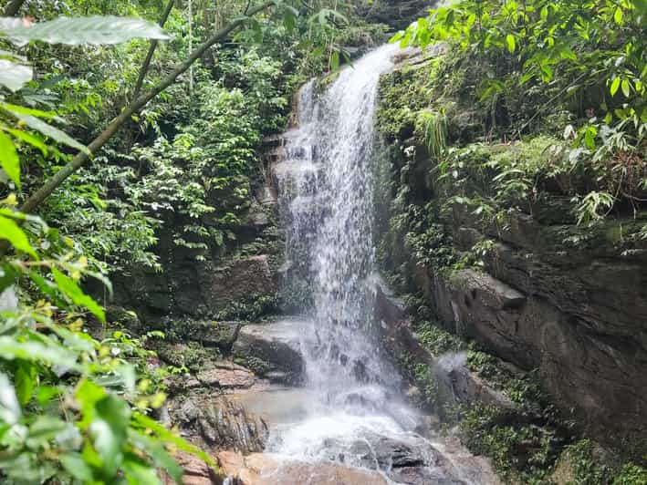 Tijuca Forest´s hike: caves, waterfalls and great views | GetYourGuide