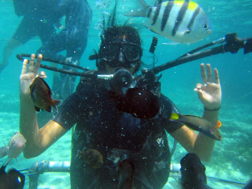Bali: Scuba Diving For Beginner Experience | GetYourGuide
