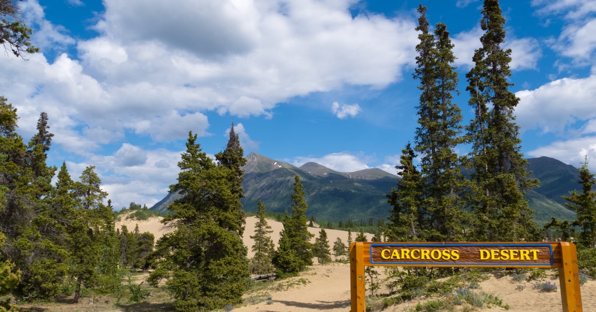 Yukon Private Tour: Lakes, Wilderness, and Hidden Gems | GetYourGuide