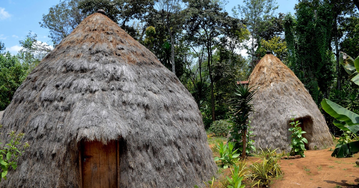 Moshi: Chagga Village Tour | GetYourGuide