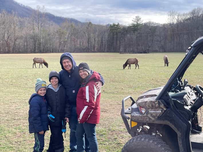 Maggie Valley: Guided Scenic UTV Adventure | GetYourGuide