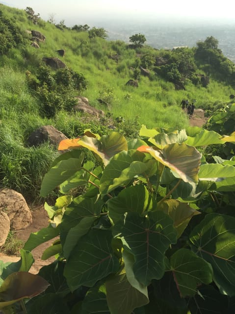 Jebel Kujur & Heroes: Half Day Tour | GetYourGuide