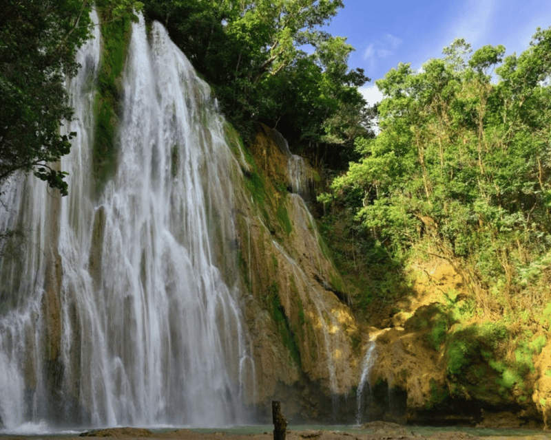 Amazing Samana Tour Island Barcardi and Cascada el Limon | GetYourGuide