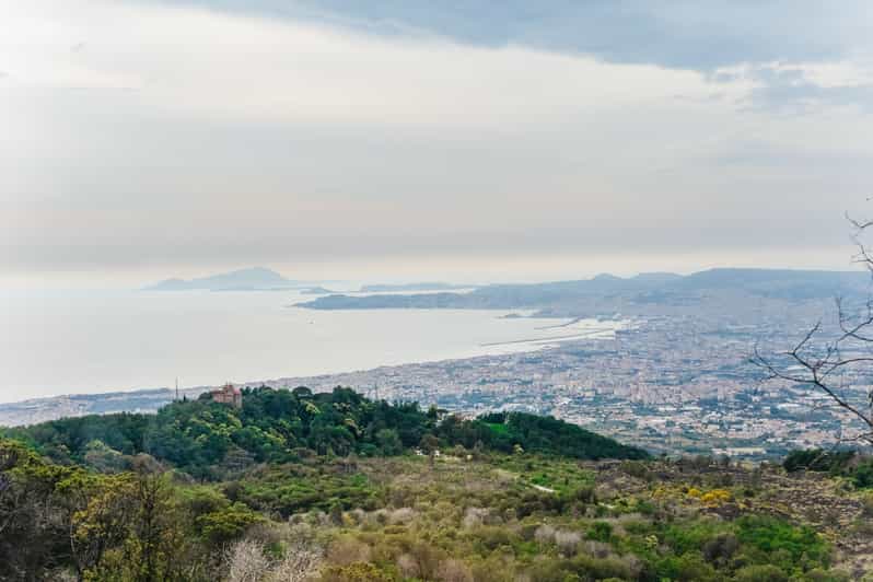 From Naples: Pompeii Ruins & Mount Vesuvius Day Tour | GetYourGuide