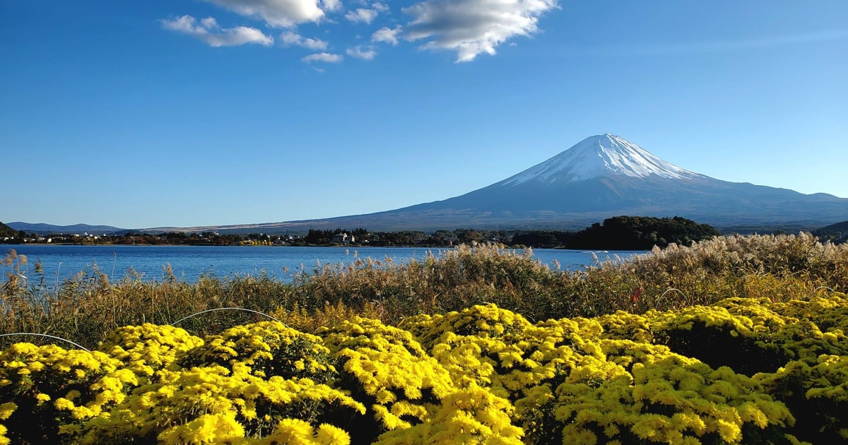 Monte Fuji: Tour de día completo en privado con guía en inglés ...