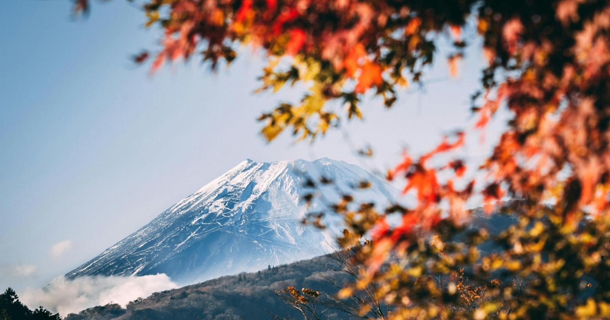 Tokio: Private Tagestour zum Berg Fuji und nach Hakone | GetYourGuide