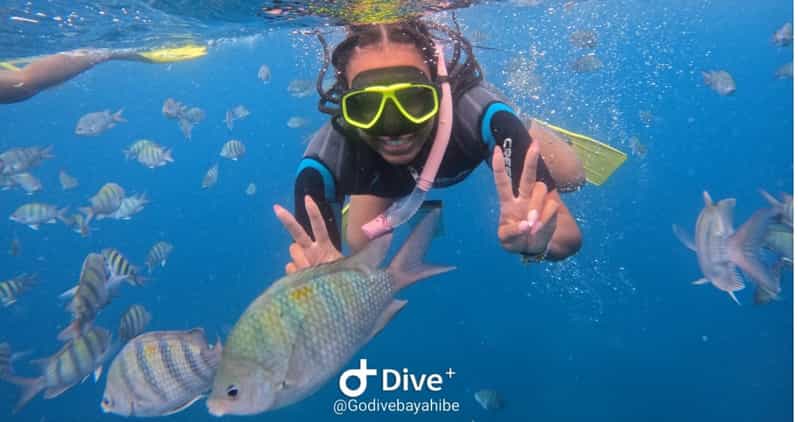 Bayahibe Los Melones - Snorkeling Tour - Go Dive | GetYourGuide