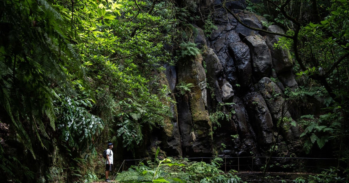 Madeira: PR 9 - Traslado de Senderismo Levada do Caldeirão Verde ...