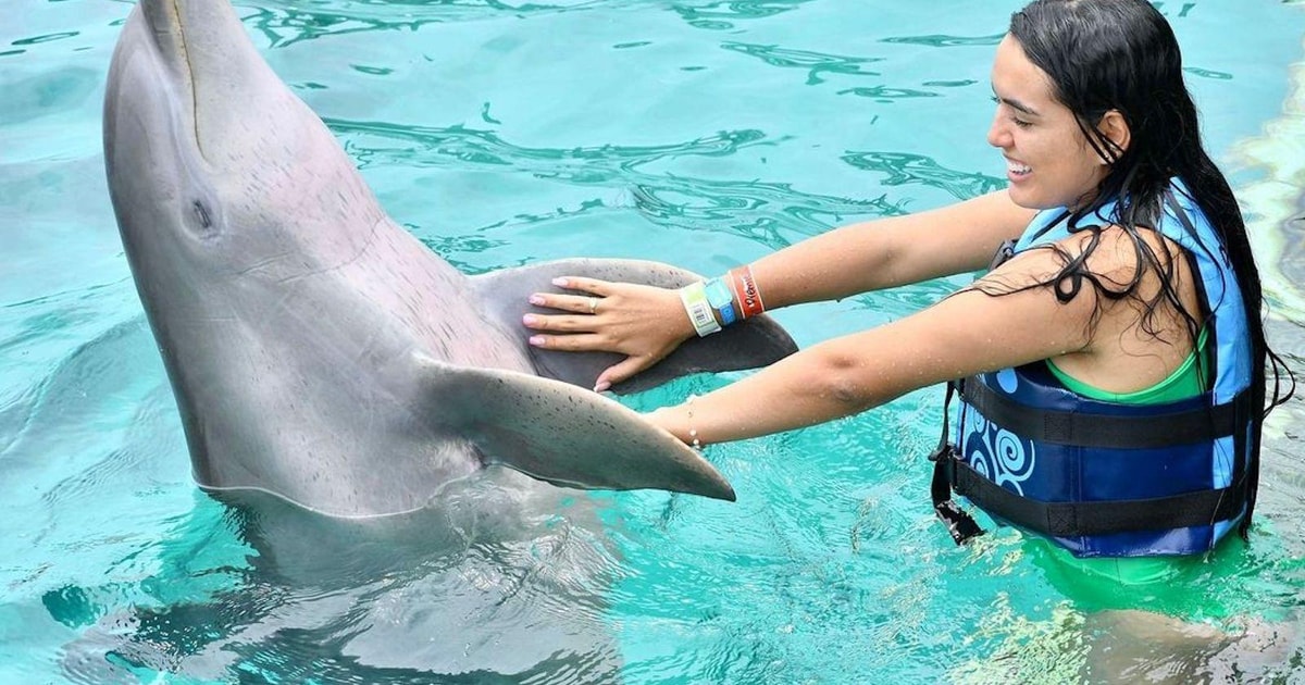 Isla Mujeres: Royal Garrafón & Delfines | GetYourGuide