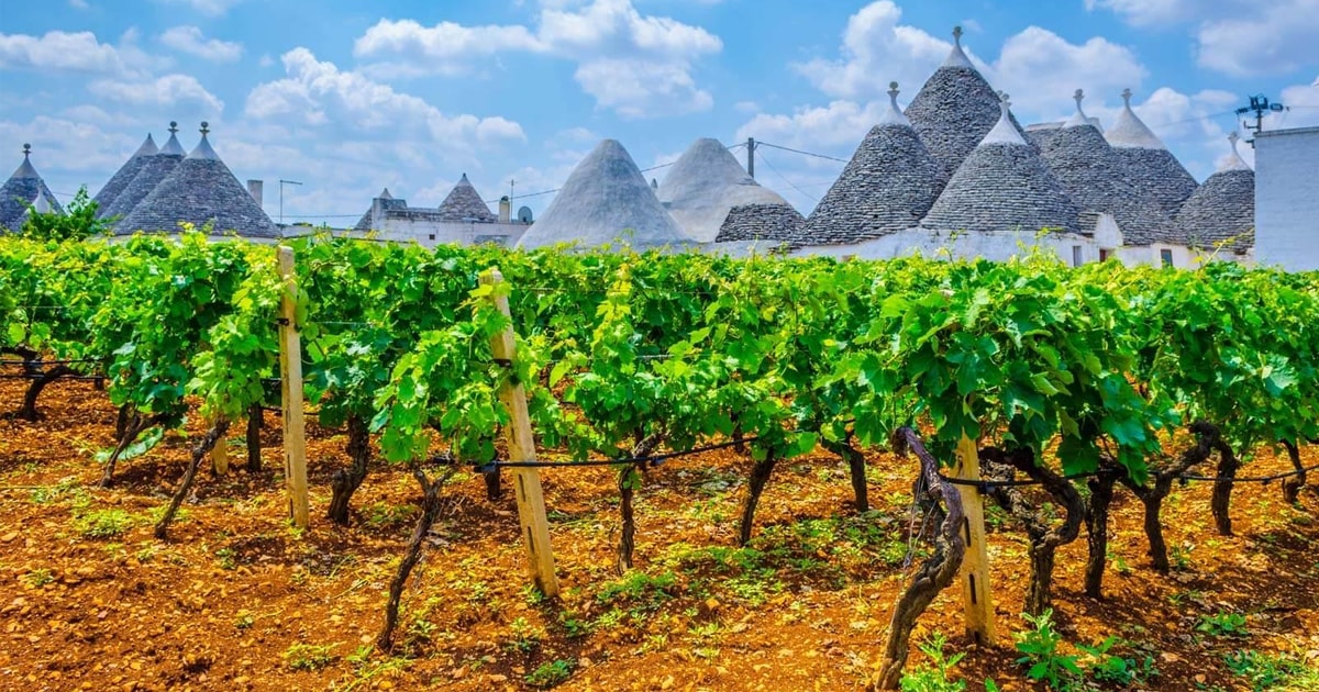 Private Tour to Ostuni, Alberobello, Locorotondo & Winery | GetYourGuide