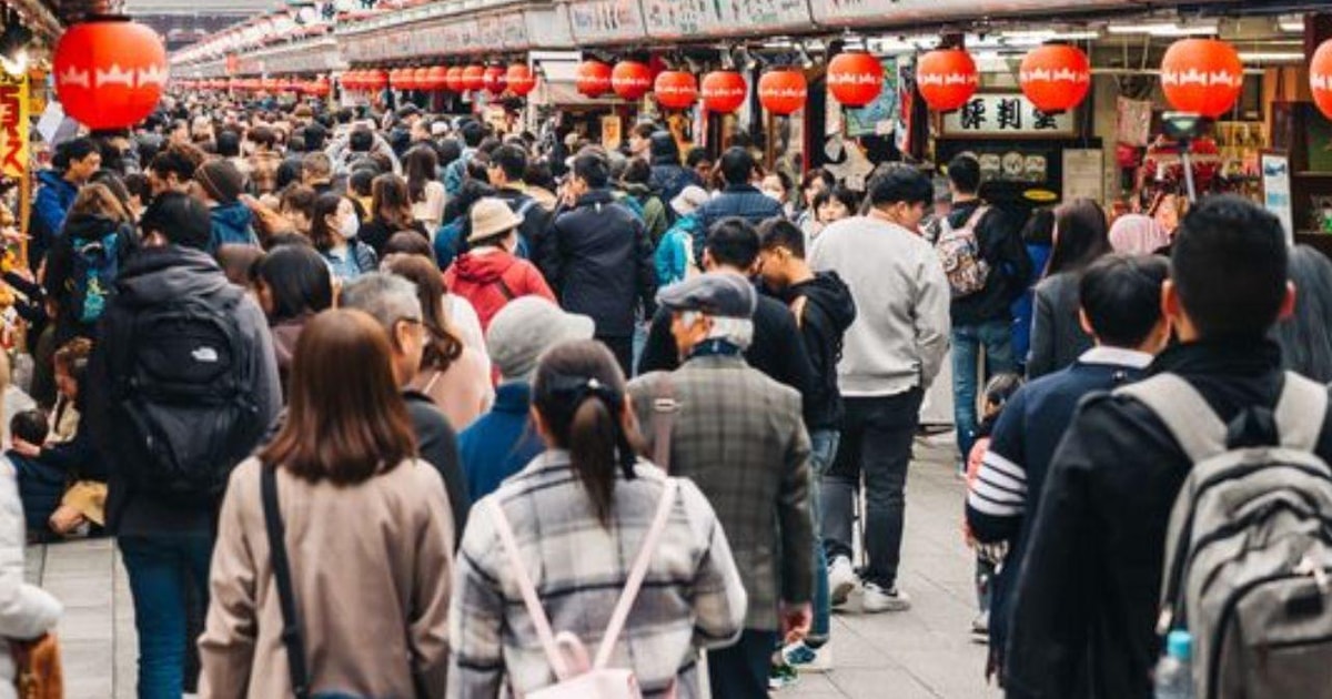 Shimizu: Tokyo Private Day Trip with Guide | GetYourGuide
