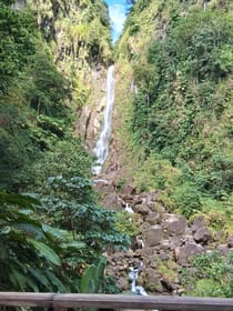 Roseau: Rainforest Tour of waterfall & water canyon swimming | GetYourGuide