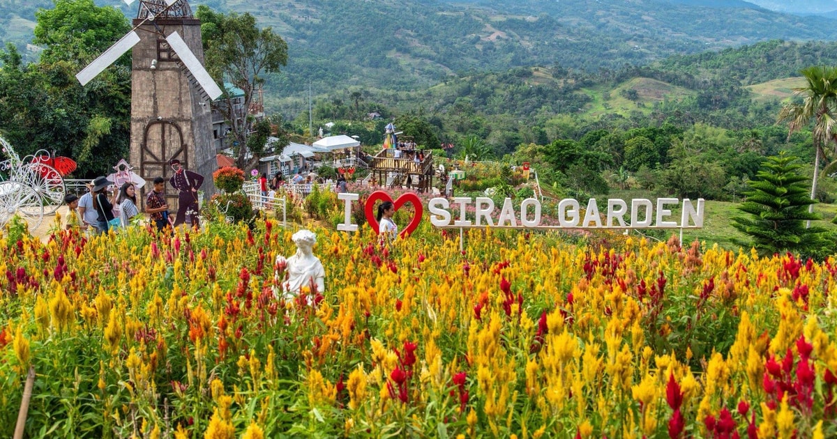 Cebu: 4 Days and 3 Nights Cebu Tour Package | GetYourGuide