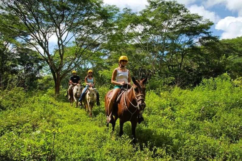 Jaco: Rainforest Horseback Ride to El Encanto Waterfall | GetYourGuide