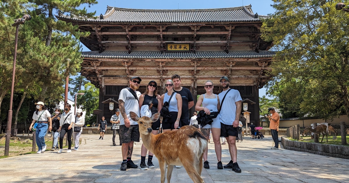 Paseo por Nara: Ciervos, Templo, Santuario, actividades y Ceremonia del ...
