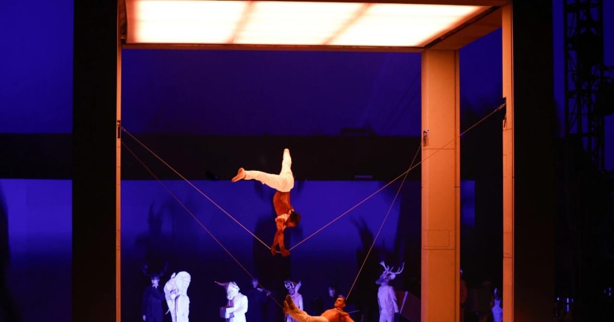 Cirque du Soleil ECHO-Ticket | GetYourGuide