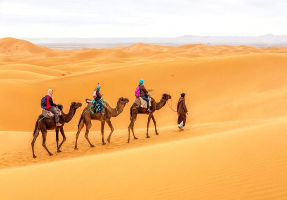 Dubai: Desert Safari Dune Bashing, BBQ, Shows & Camel Ride | GetYourGuide