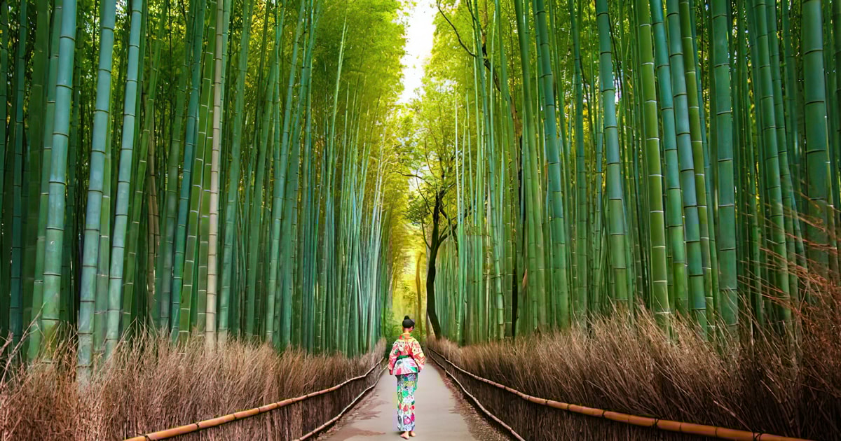 Arashiyama Kioto: Bambusowy las, park małp i tajemnice | GetYourGuide