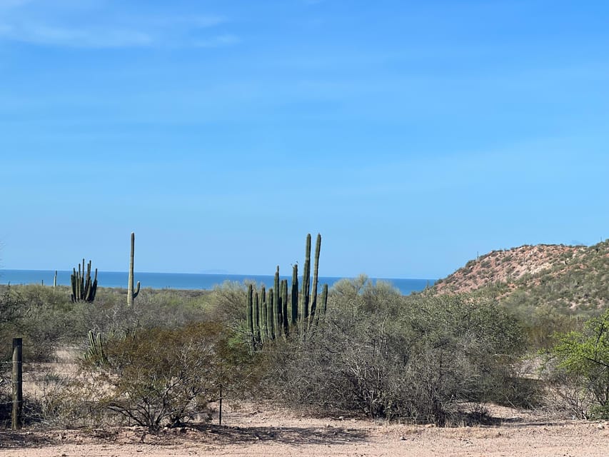 Isla Tiburón: Recorrido por la isla más grande de México | GetYourGuide