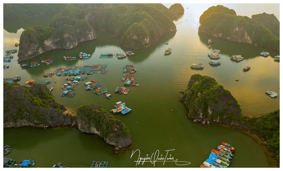 2 Days from Hanoi Cat Ba National park & Lan ha bay kayaking | GetYourGuide