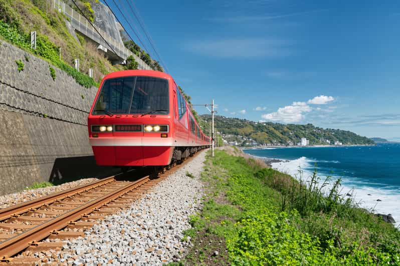 Tokyo: Izu Scenic Train, Volcano, Ocean&Capybara Cuddle Trip | GetYourGuide