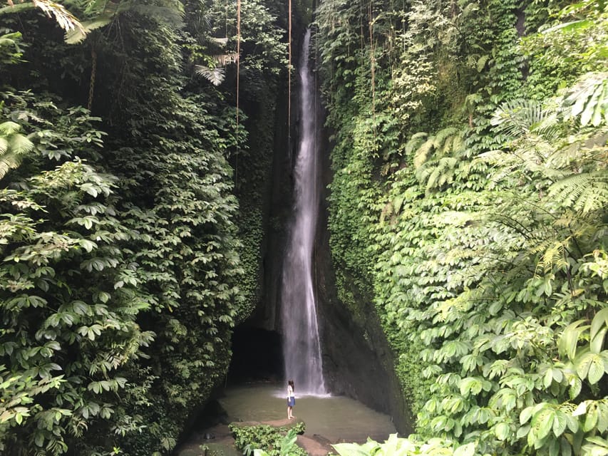 Bali waterfalls quest | GetYourGuide