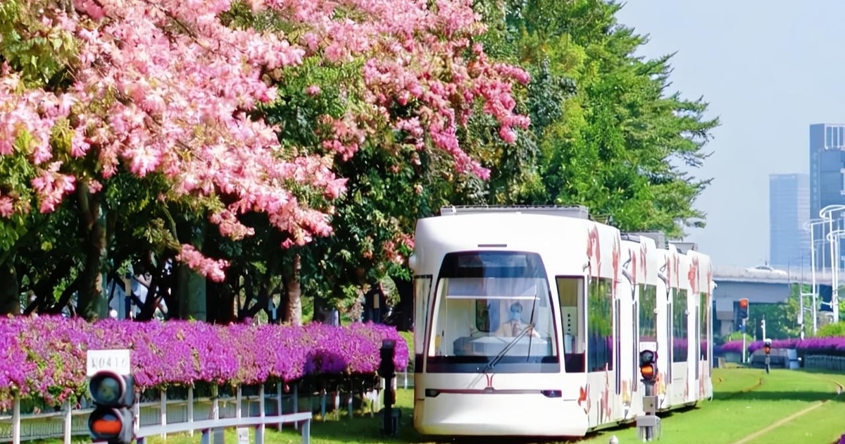 Guangzhou Day Tour: Trolley, Glass Museum & Night Cruise | GetYourGuide