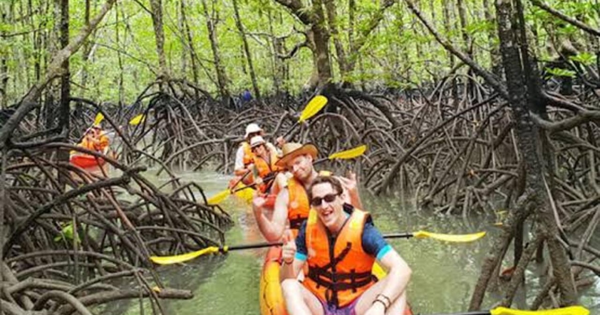 Pemba Island: Wambaa Herbs & Spice Farm Tour | GetYourGuide