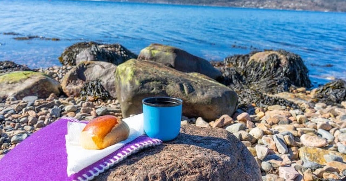Drøbak: Kustpromenad med kaffe, bullar och hängmattor | GetYourGuide