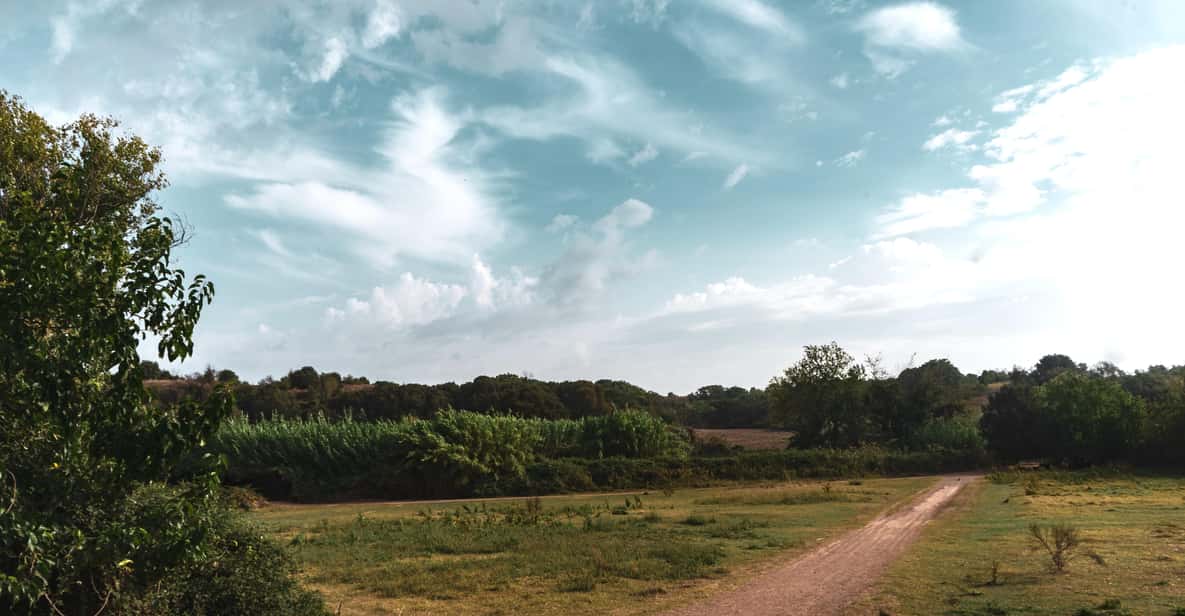 Caffarella Park: Rome's Secret Urban Hiking Paradise | GetYourGuide