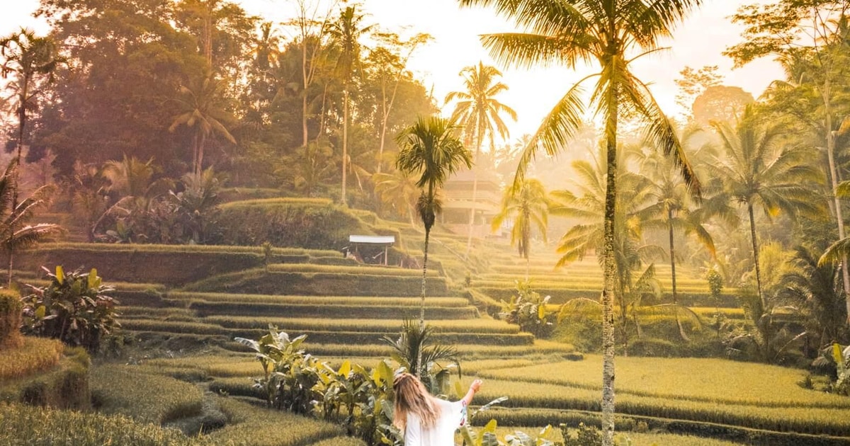 authentic ubud tour | GetYourGuide