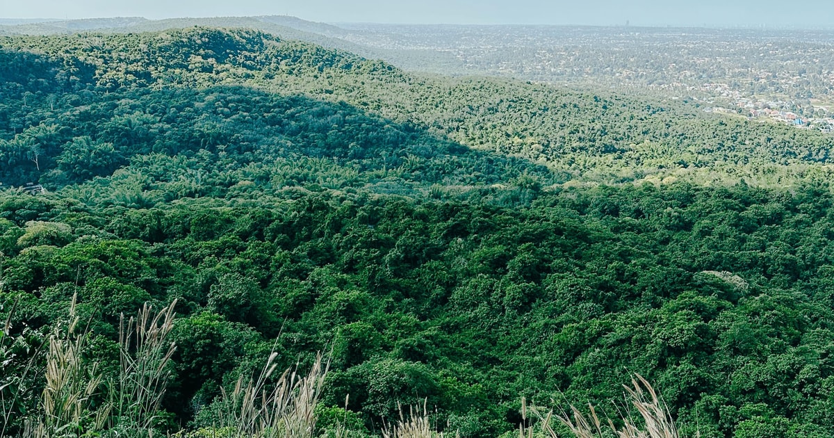 Full Day Trip to Pugu Forest from Dar es Salaam | GetYourGuide