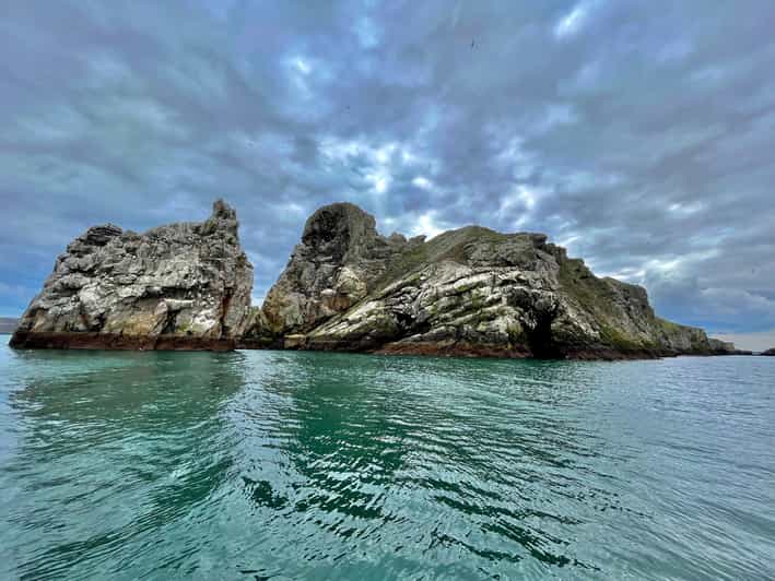 Dublin: Howth Coastal Boat Tour with Ireland's Eye Ferries | GetYourGuide