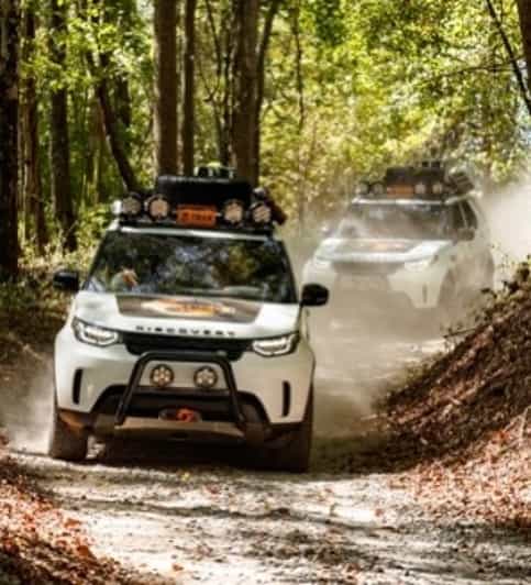 Whistler: Morning with the Bears Land Rover Scenic Tour | GetYourGuide