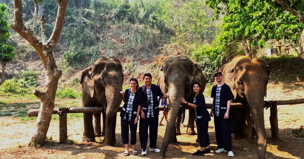 Journée complète avec CHIANGMAI ELEPHANT CARE et Sticky waterfall ...