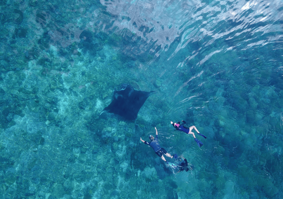Islas Komodo: 2D1N Excursión en lancha rápida, excursión por tierra y ...