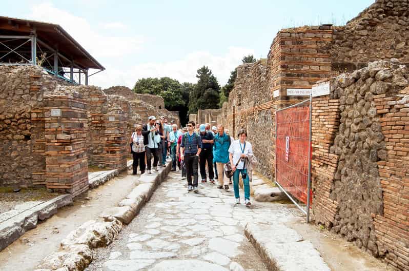 From Naples: Pompeii Ruins & Mount Vesuvius Day Tour | GetYourGuide