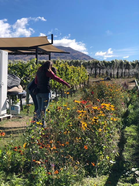 ebike tour lake Hawea river track to Wanaka | GetYourGuide