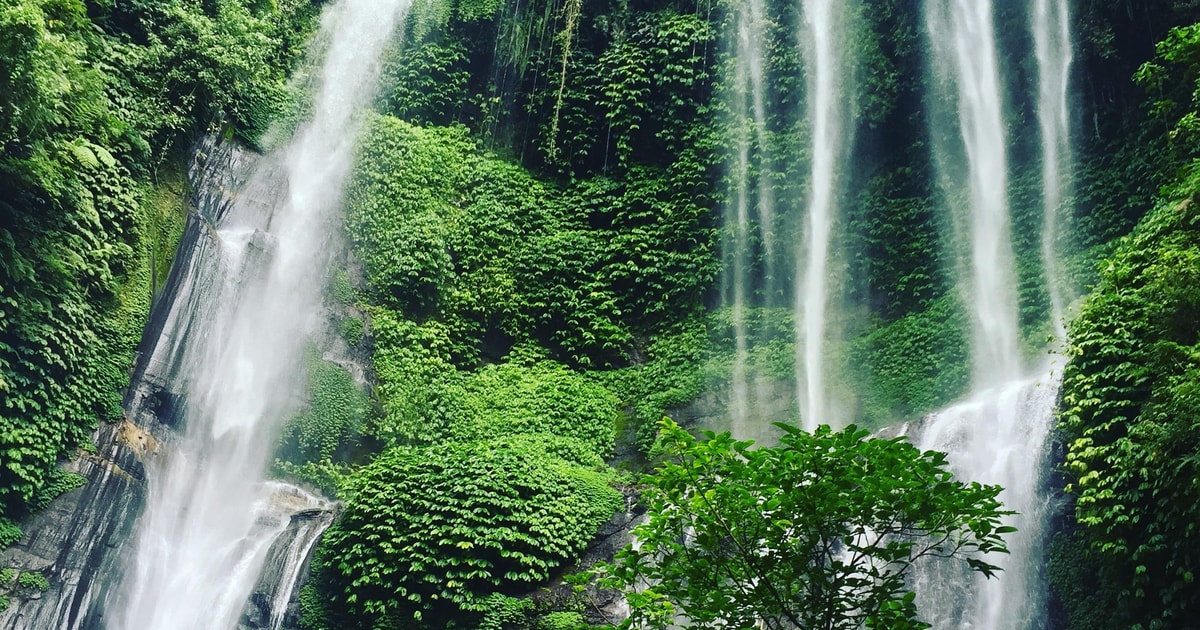 Sekumpul and Banyumala Waterfalls Hiking Tour | GetYourGuide