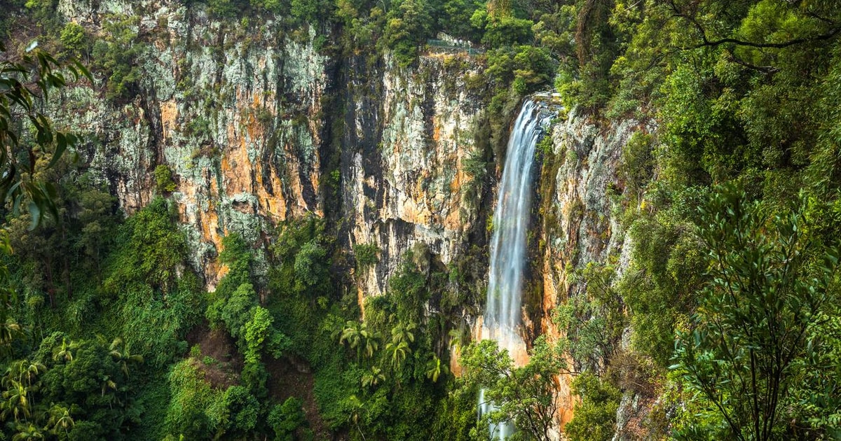 Gold Coast: Natural Bridge & Springbrook Waterfalls Tour | GetYourGuide
