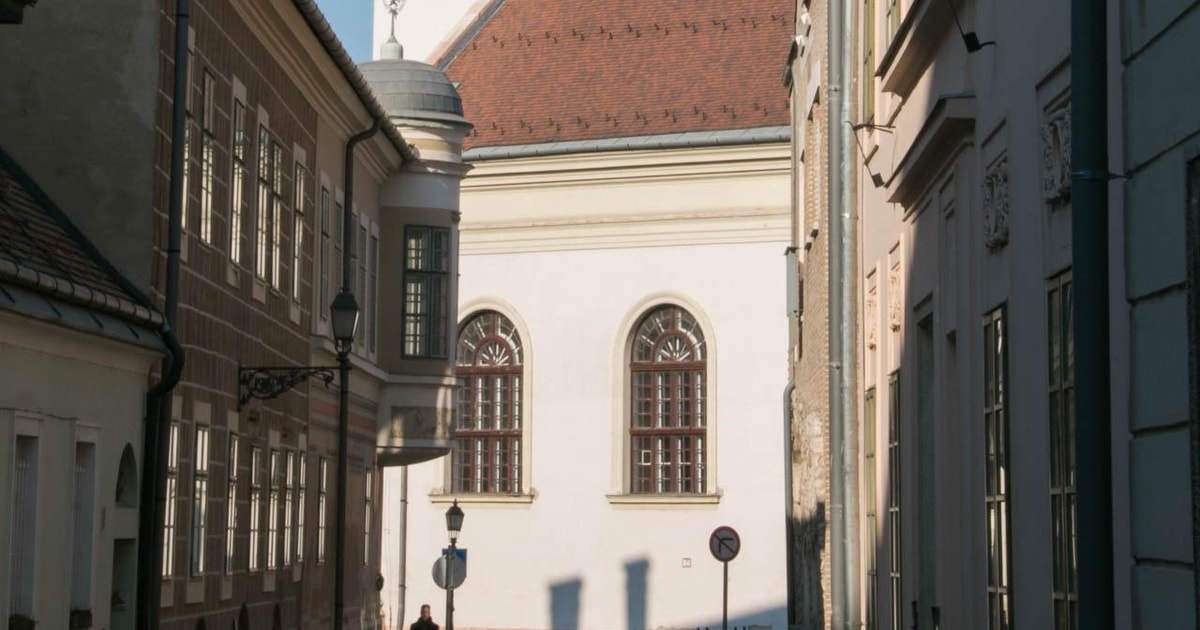 2 Hours Buda Castle Walking Tour - Walk with a Historian | GetYourGuide