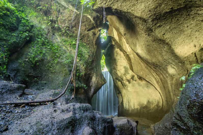 Ubud: Waterfalls, Tirta Empul Temple, Rice Terrace | GetYourGuide
