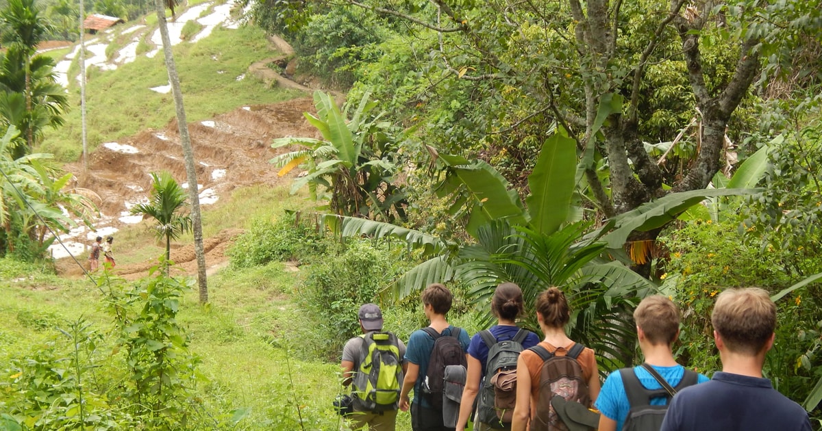 Sentiero delle spezie Knuckles da Kandy | GetYourGuide