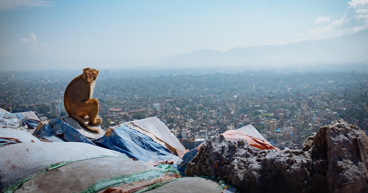 Jamacho-A day Hike | GetYourGuide