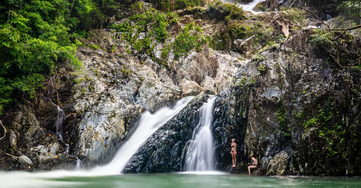 Daintree Rainforest: Magic Waterfall Walk with Lunch & Swim | GetYourGuide