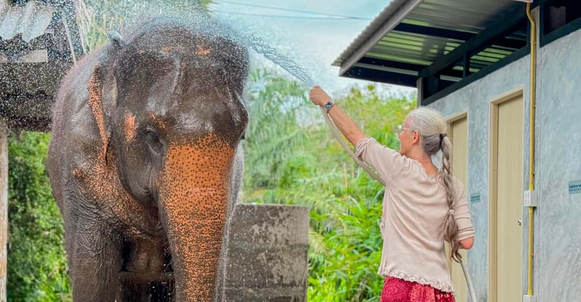 Koh Samui: Unique Iocal Tour & Elephant Sanctuary with lunch | GetYourGuide